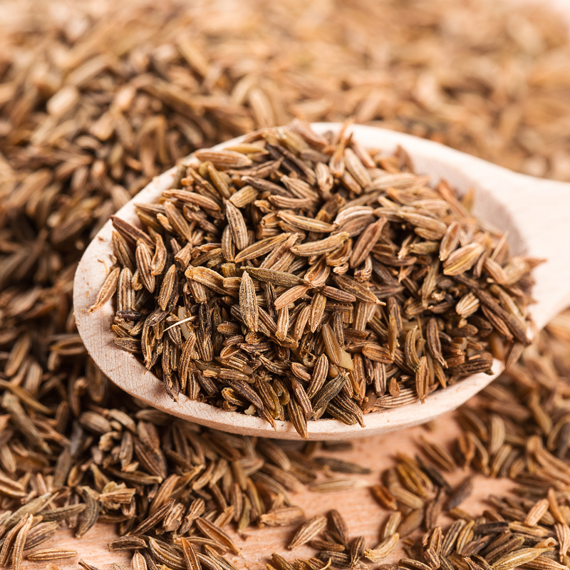 NPG Cumin Seeds Whole – Natural Plus Green