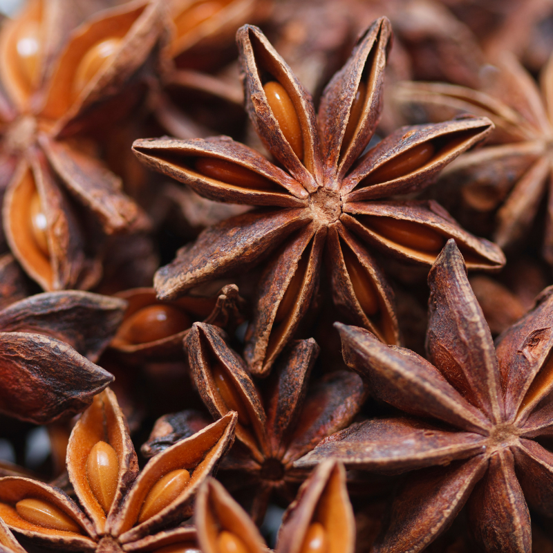 NPG Star Anise Powder – Natural Plus Green